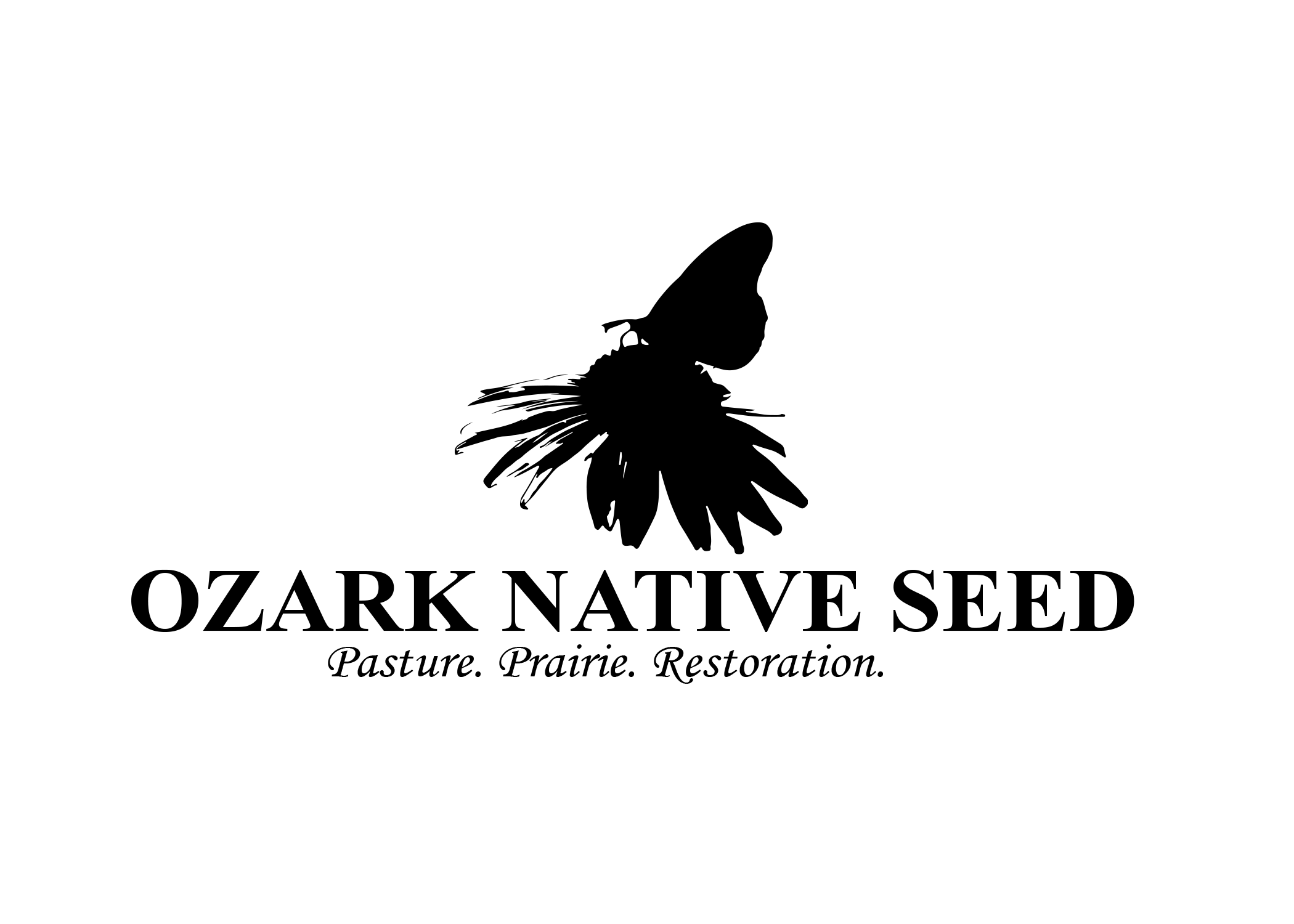Pale Purple Coneflower - Ozark Native Seeds